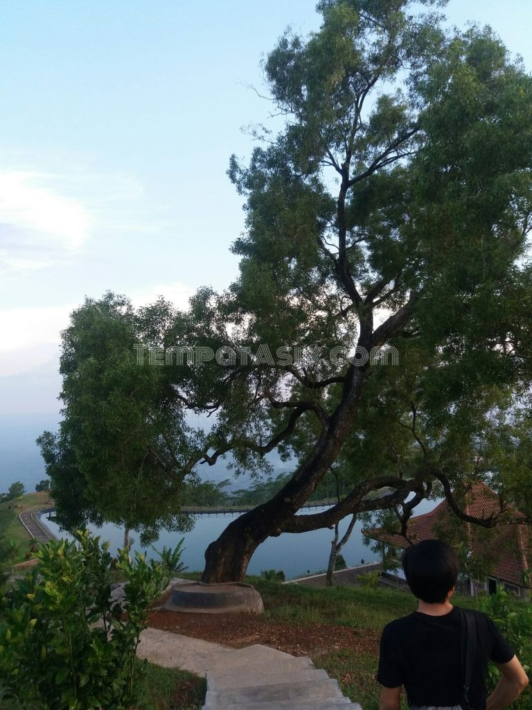 Embung Batara Sriten di Puncak Tertinggi Gunungkidul dengan Pemandangan ...