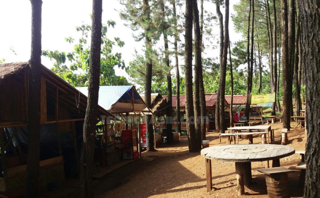 Pinus Pengger, Tempat Asik Nan Romantis dengan Spot Foto Unik - Tempat Asik