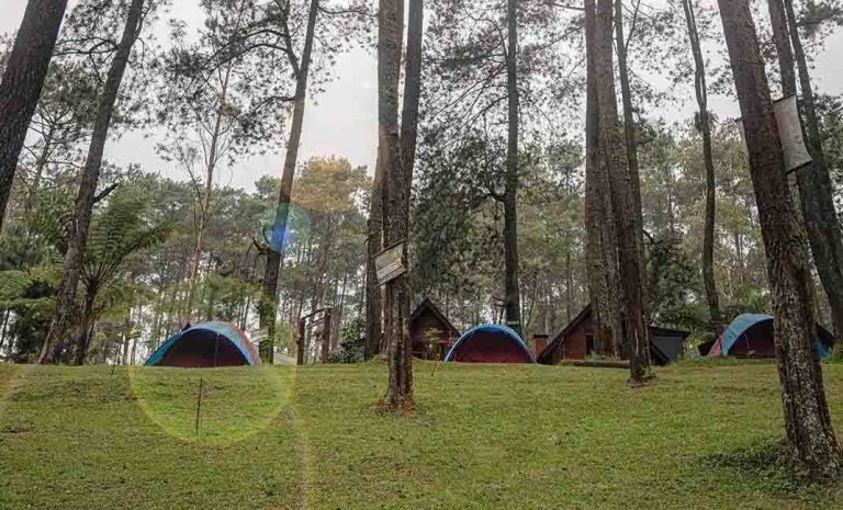 Grafika Cikole | Harga Tiket & Paket Wisata, Fasilitas dan Wahana